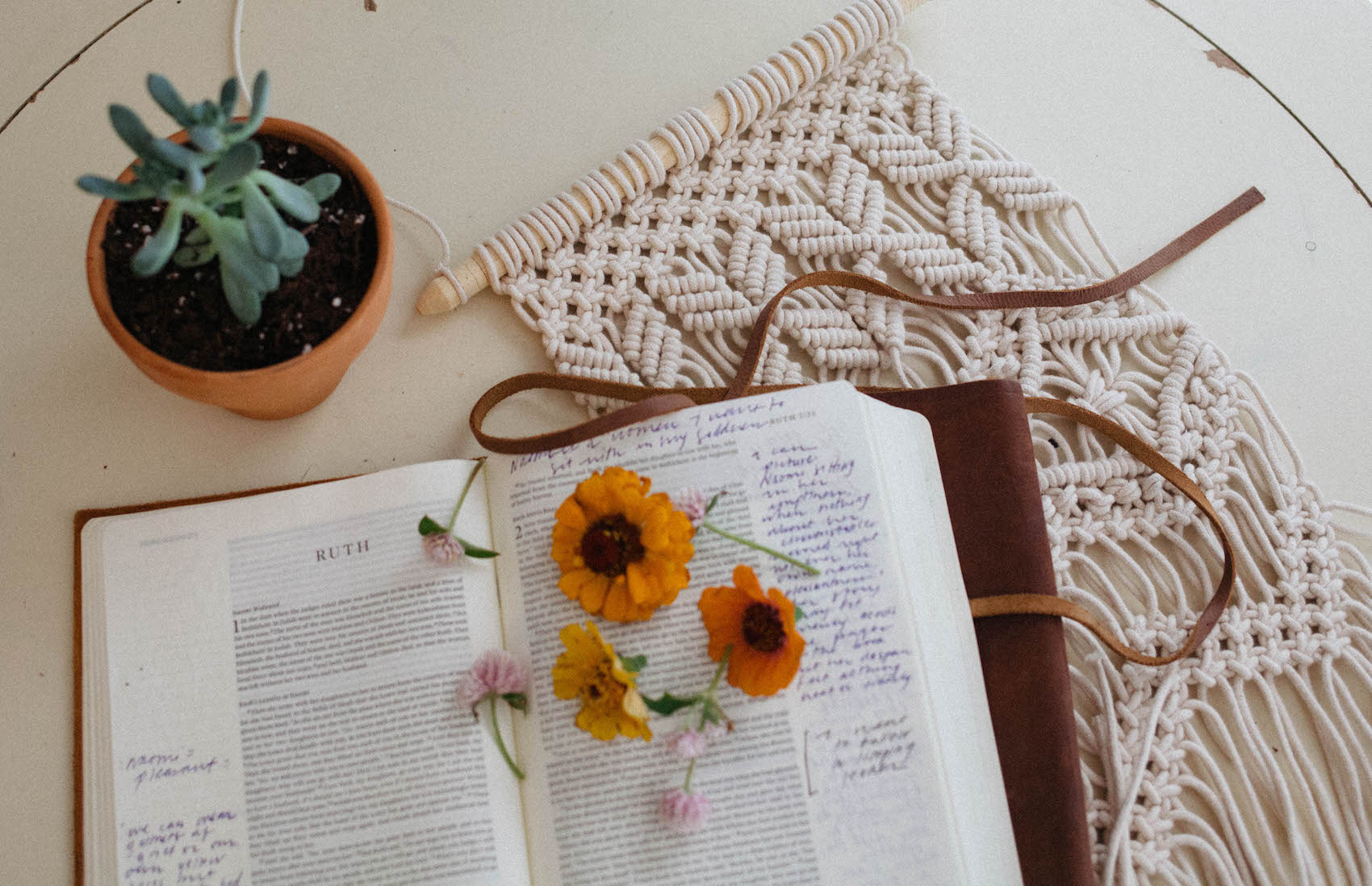 All the Pretty Bibles – Well-Watered Women