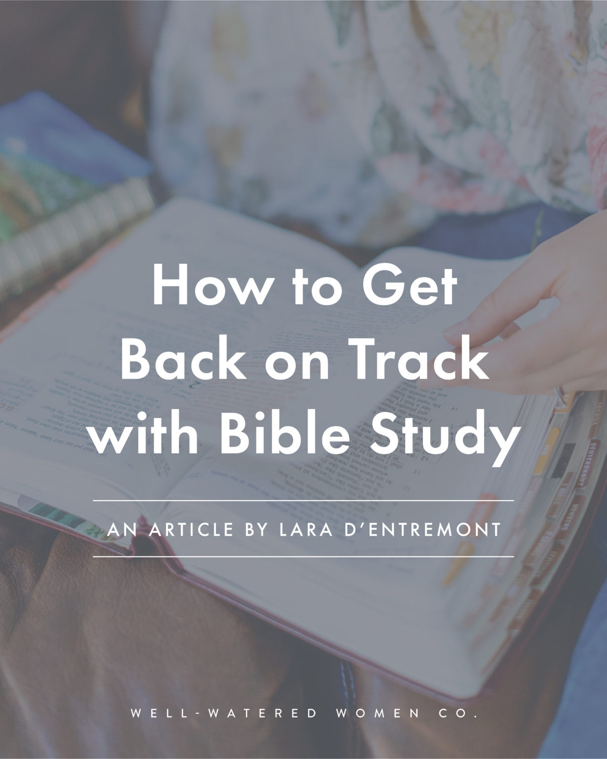 How to Get Back on Track with Bible Study – Well-Watered Women