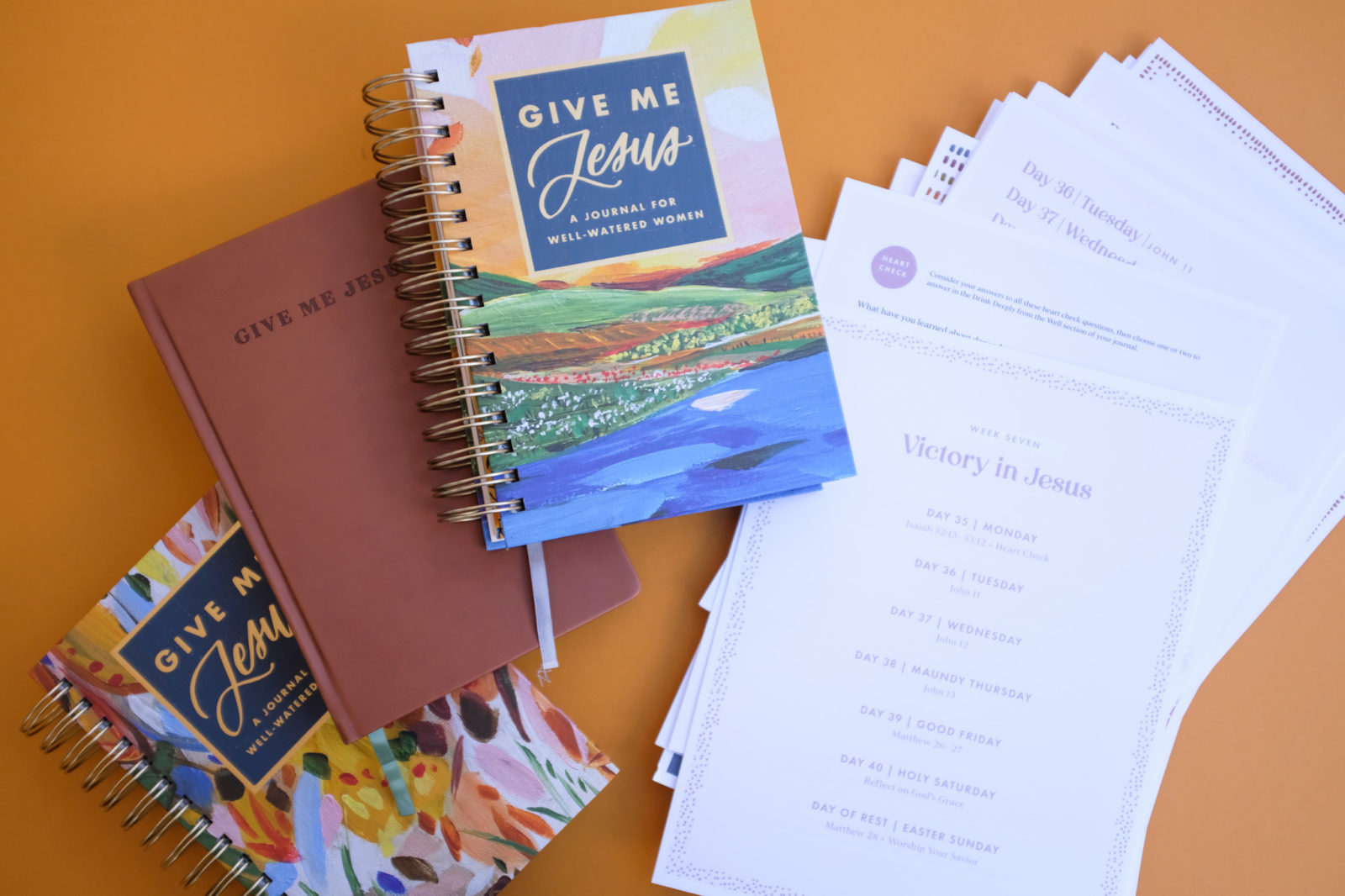 Introducing Victory in Jesus: A Lent Study Guide – Well-Watered Women